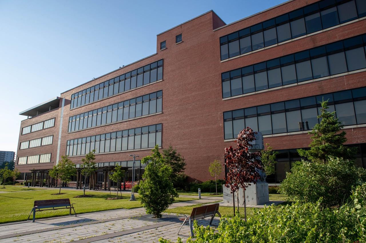 Stuart Phillips – Profile Overview