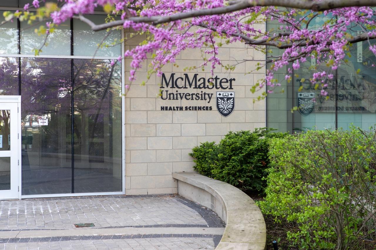 Stuart Phillips – Profile Overview